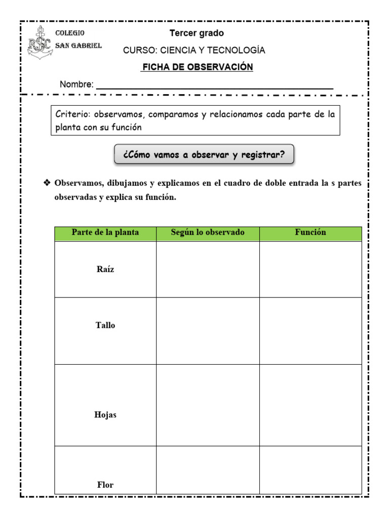 Ficha de Trabajo de Ciencia y Tecnologia - Observacion Partes de La ...