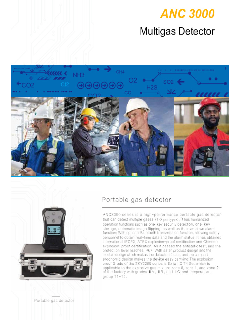 ANC3000 Portable Gas Detector | PDF