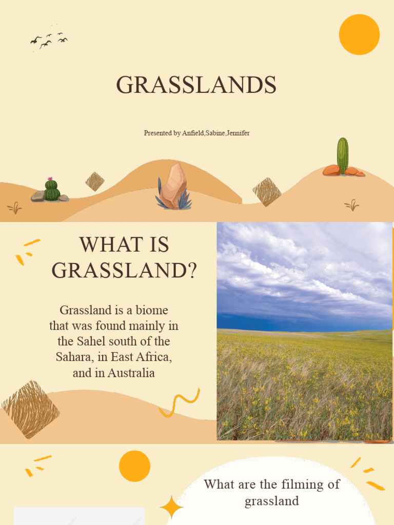Grassland | PDF