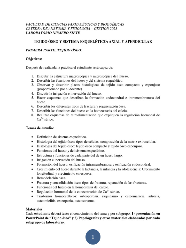 Protocolo 7 Tejido Oseo y Sistema Esqueletico | PDF | Hueso | Cráneo