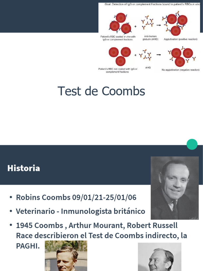 Coombs Directo | PDF | Anticuerpo | Anticuerpo Monoclonal