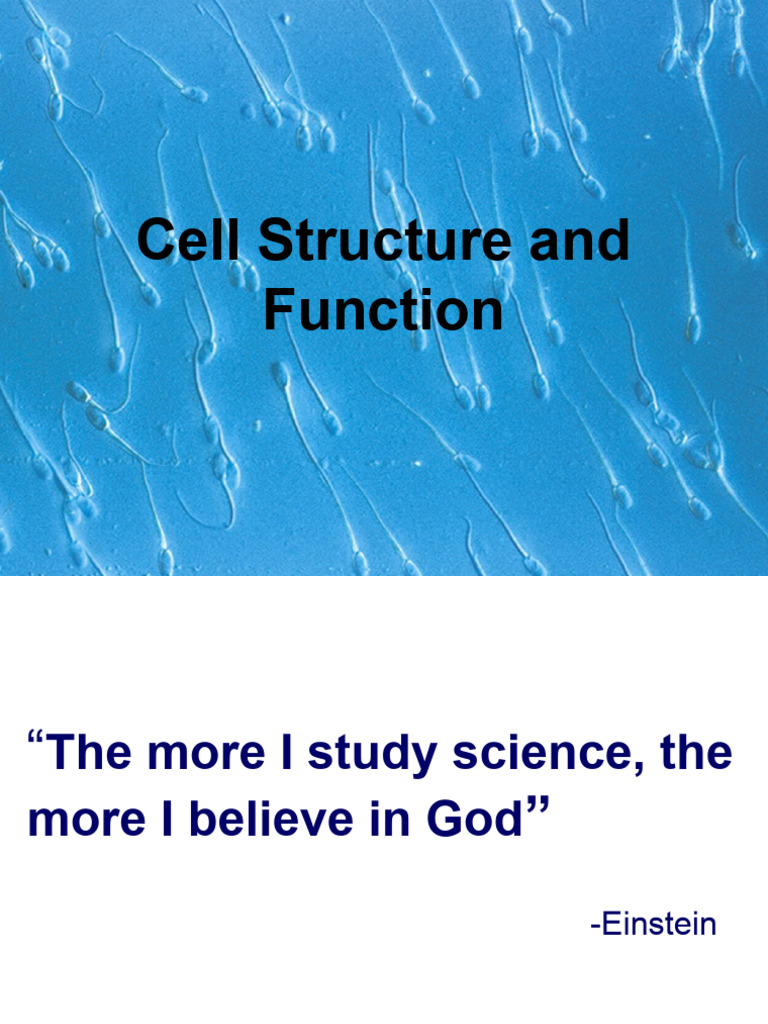 5-cellular-structure-and-material-transfer-pdf-cell-membrane-cell