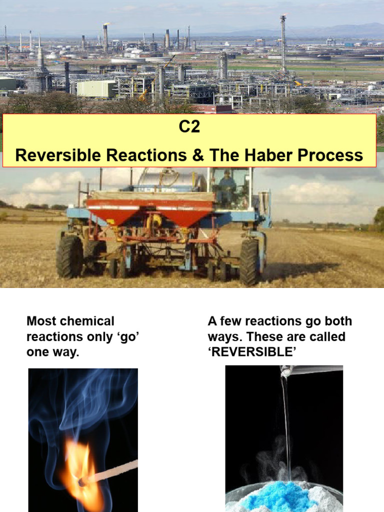 Haber Process and Reversible Reactions | PDF | Ammonia | Chemical Reactions