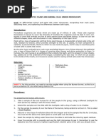 Autopsy of A Dill Pickle Person Lab | PDF | Abdomen | Anatomical Terms ...