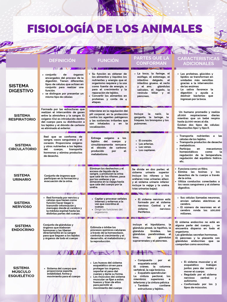 Cuadro comparativo Fisiología de los animales | PDF | Sistema urinario ...