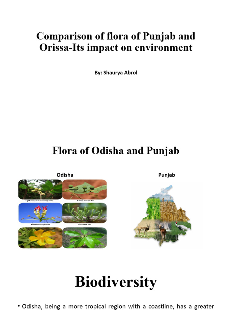 Punjab and Orissa | PDF | Agriculture | Wetland