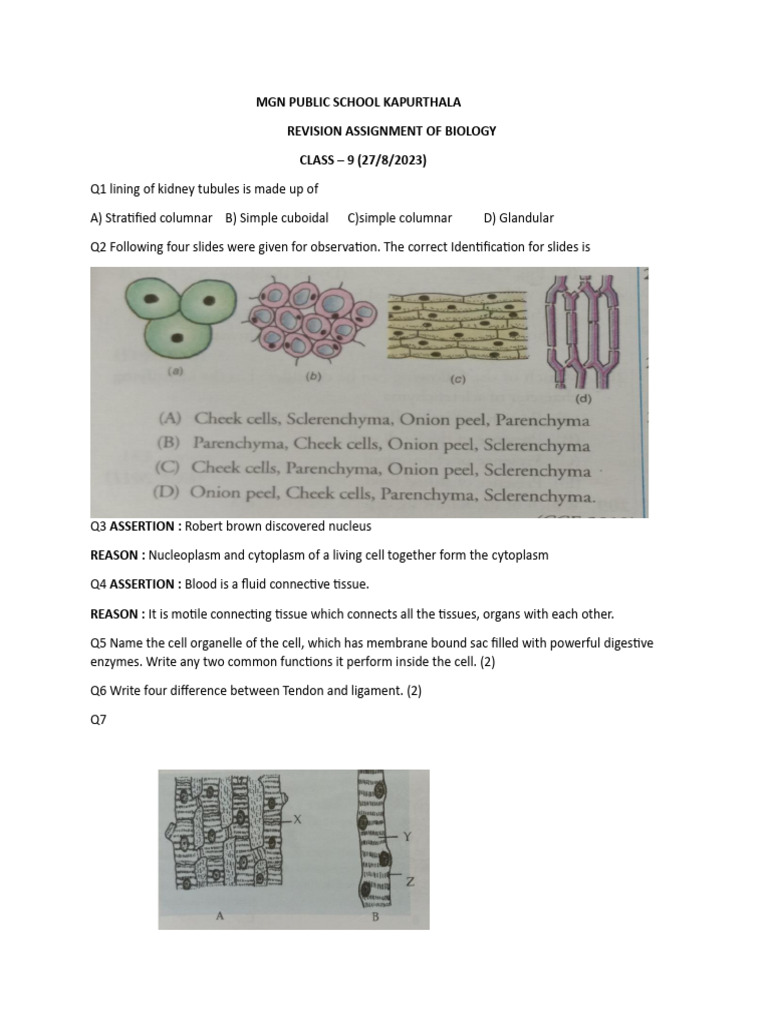 Class 9 Biology Revision Assignment | PDF | Science & Mathematics