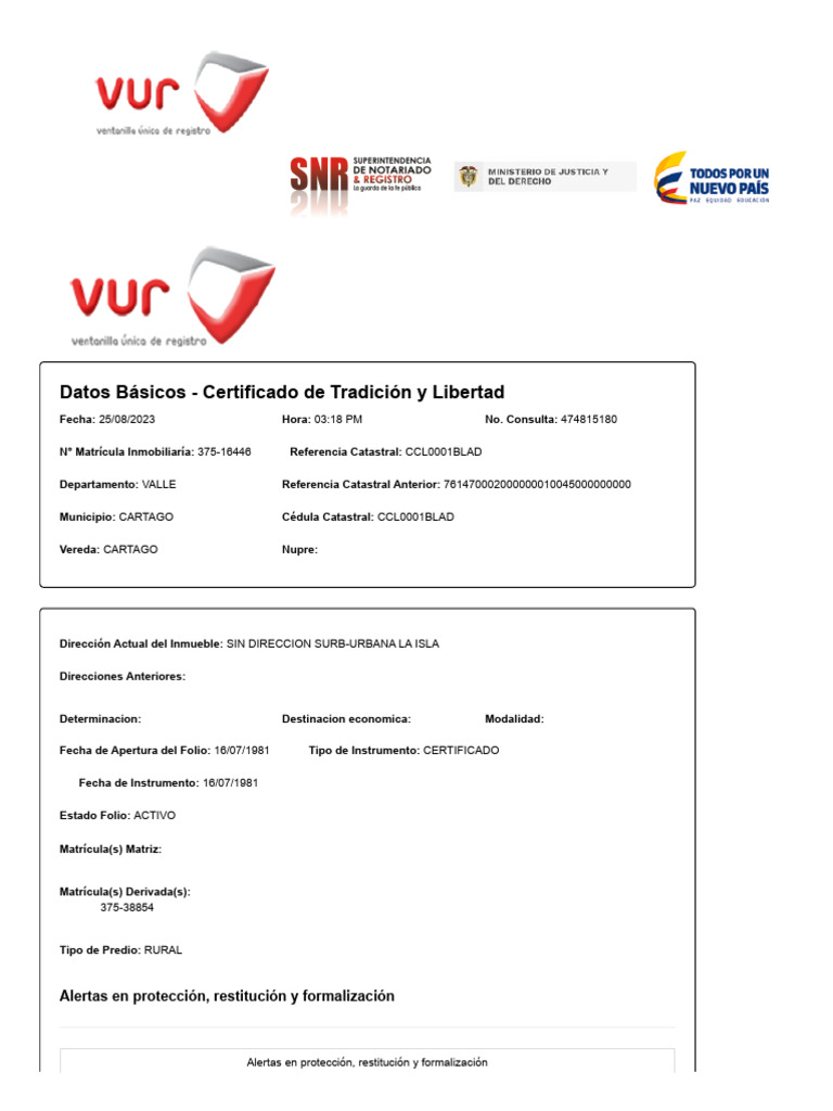 Consulta VUR Basico | PDF