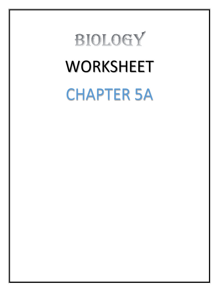 Worksheet: Chapter 5A | PDF | Polysaccharide | Photosynthesis
