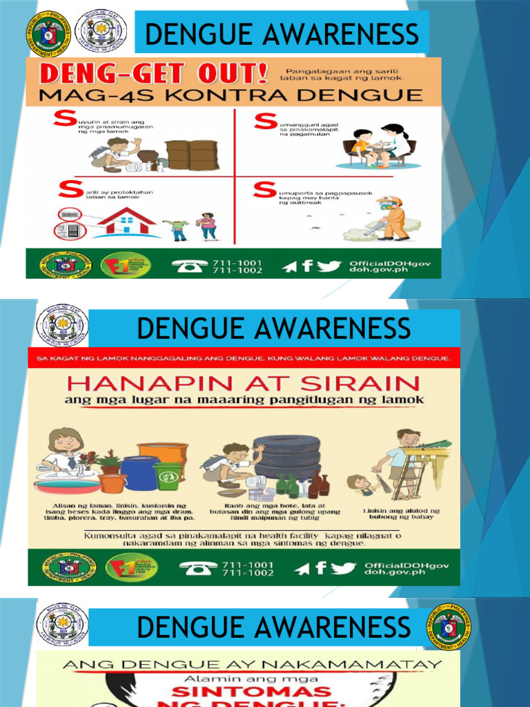 Dengue Awareness | PDF