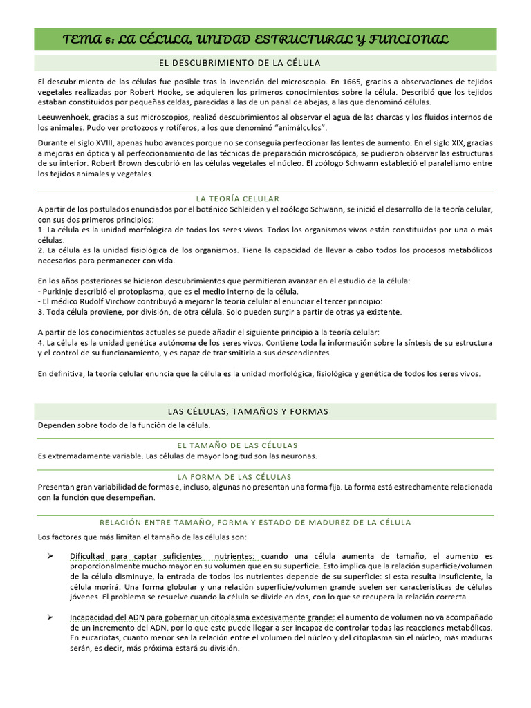 Bio Tema 6 | Descargar gratis PDF | Biología Celular) | Citoplasma