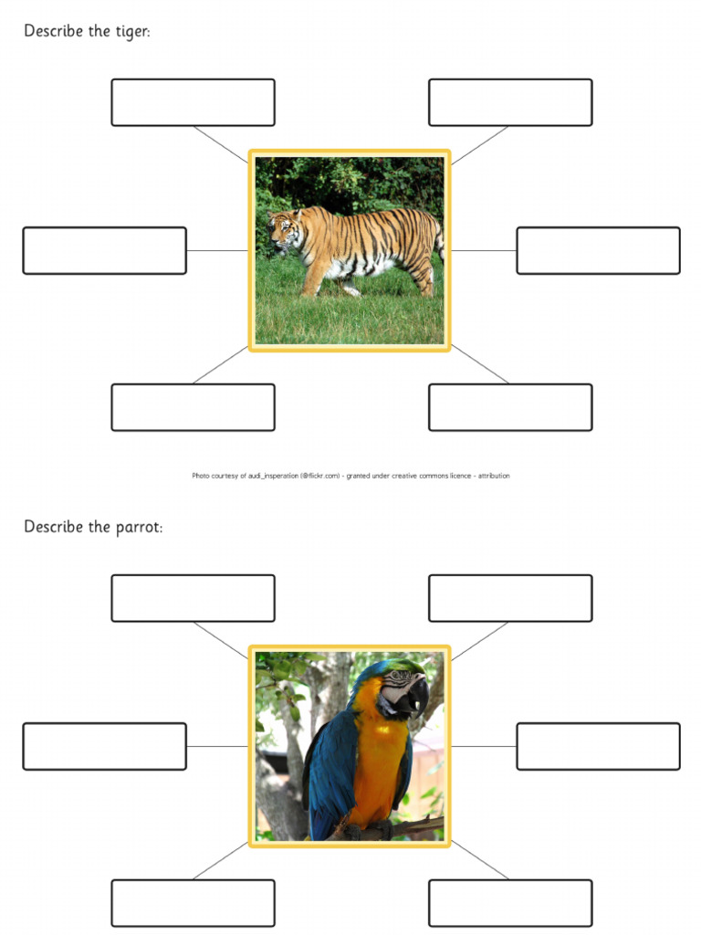 T S 2819 Photo Describe The Picture Animals | PDF