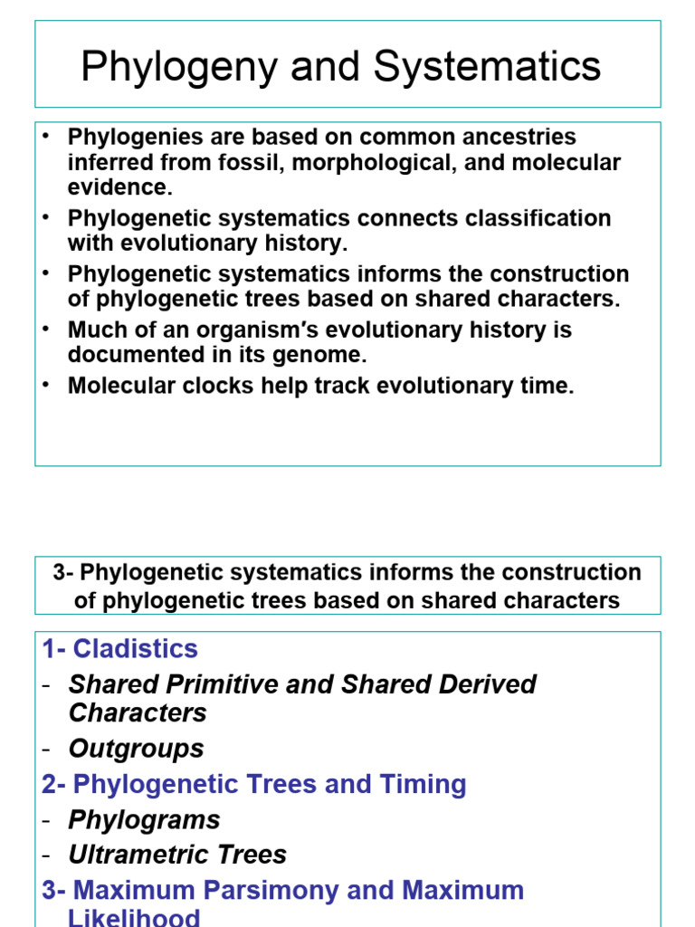 4 Phylogenetic Systematics | PDF | Phylogenetic Tree | Clade