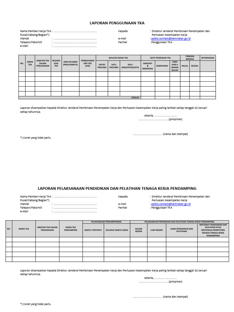 Laporan Penggunaan TKA | PDF