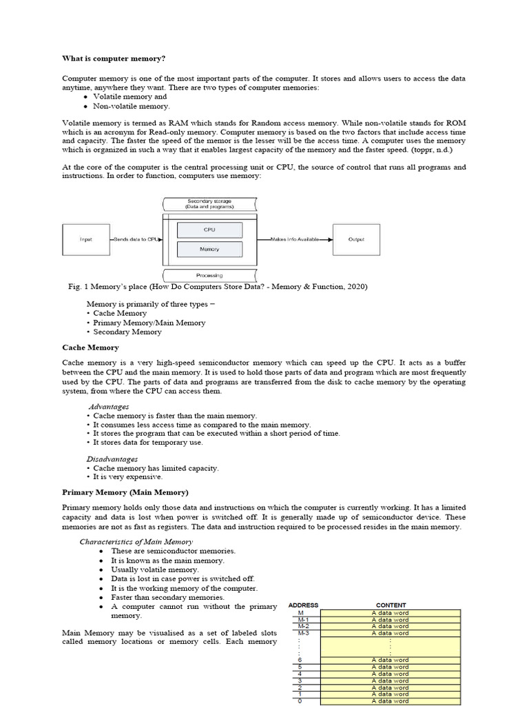 Module 6 Memory | Download Free PDF | Computer Data Storage | Read Only Memory
