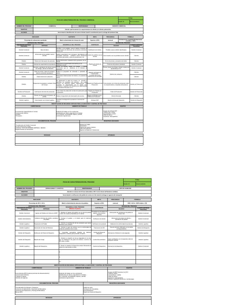 Formato Ficha de Proceso | PDF | Logística | Software