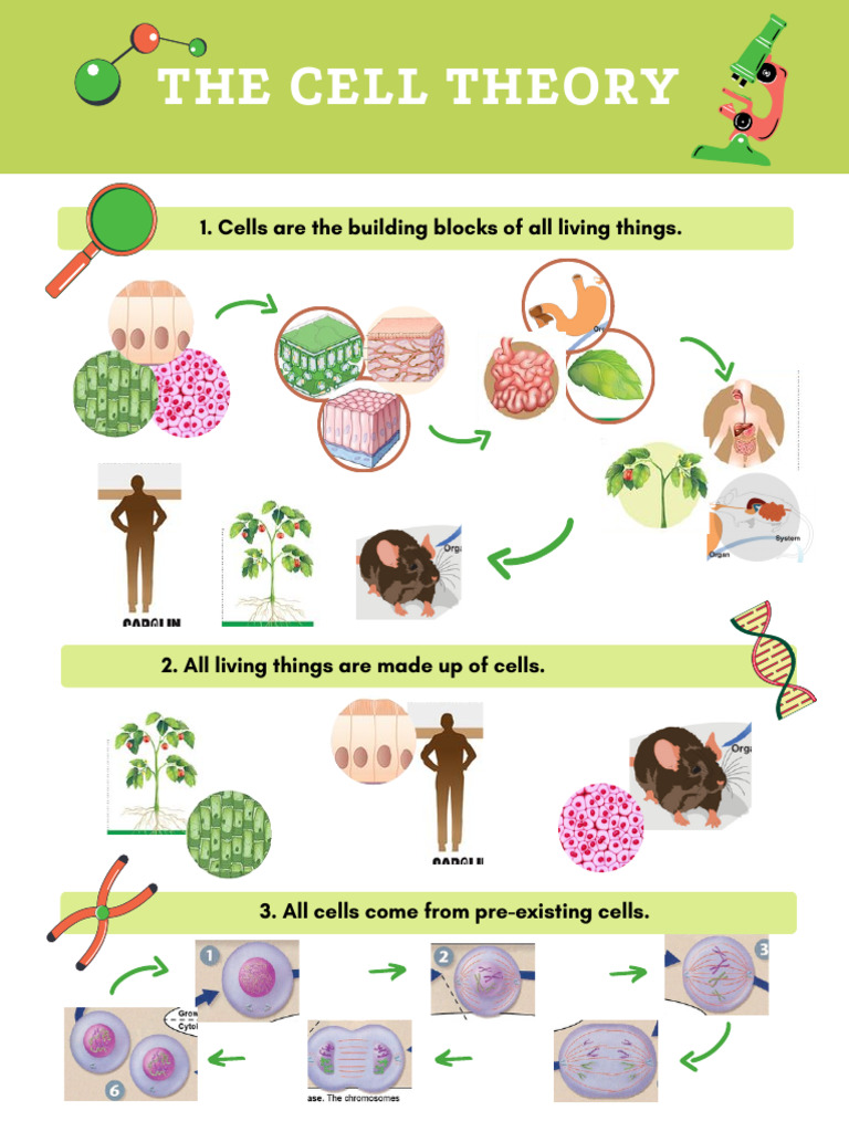 The Cell Theory | PDF