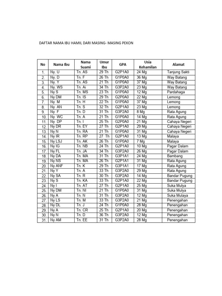 Data Bumil INISIAL | PDF
