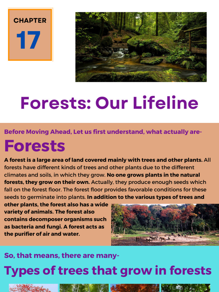 Forests - Our Lifeline | PDF