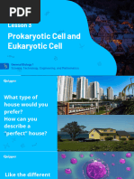 Lesson 4 - Cell Modifications | PDF | Cell Adhesion | Cell (Biology)