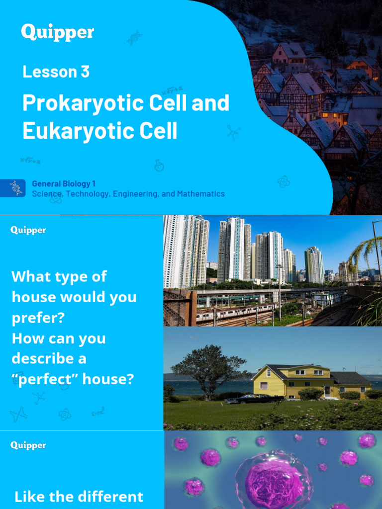 Lesson 3 - Prokaryotic Cell and Eukaryotic Cell | PDF | Cell (Biology ...