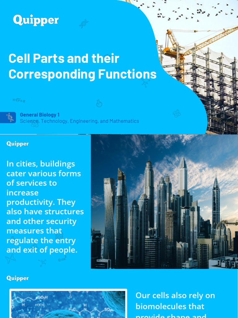 Lesson 2 - Major Cell Parts and Their Functions Part 1 | PDF | Cell ...
