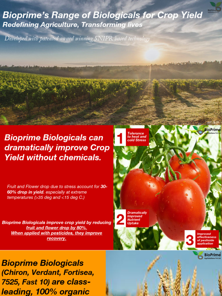 Bioprime Biologicals for Enhanced Crop Yield | PDF | Tomato | Potato