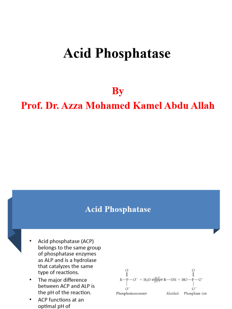 نسخة Acid Phosphatase 3 | PDF | Prostate Specific Antigen | Prostate Cancer
