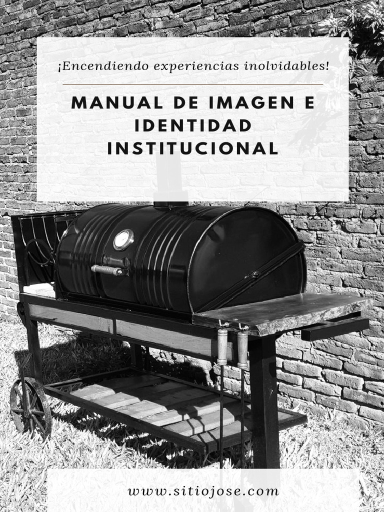 Manual de Imagen e Identidad Institucional. | PDF | Tipografía | Visión