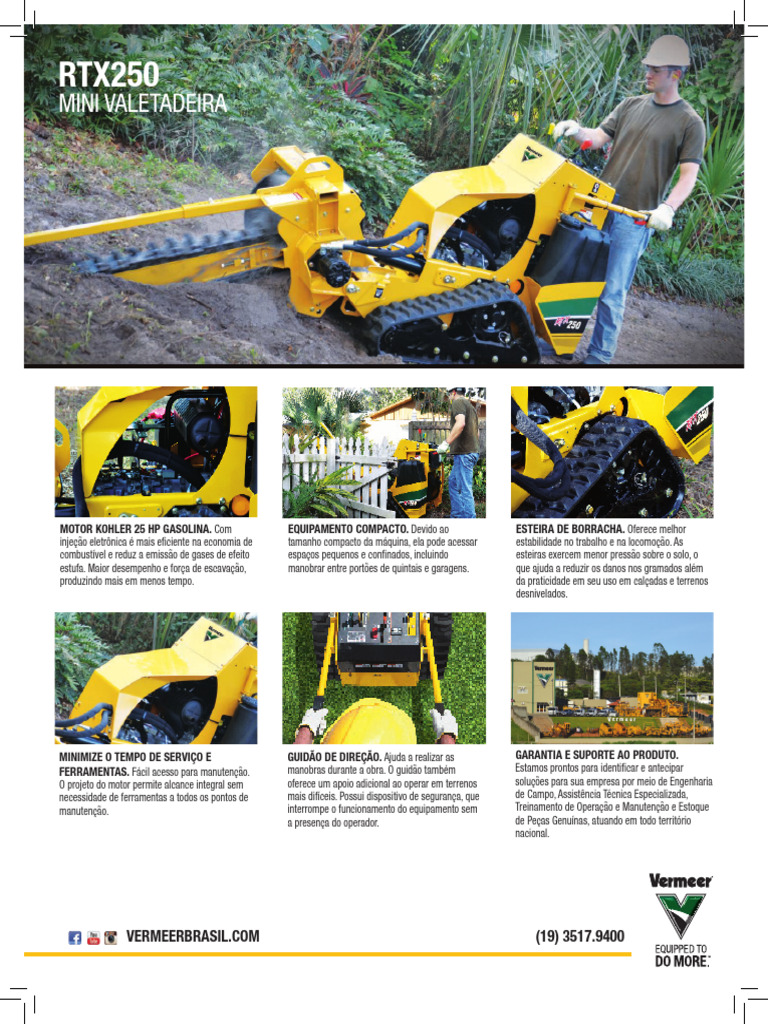 RTX250 Baixa | PDF | Motores | Injeção eletrônica