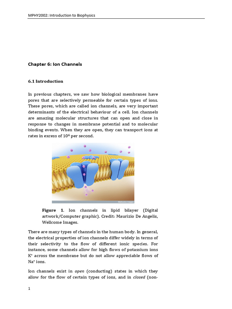 Chapter 6 - Ion Channels | PDF | Ion Channel | Chemistry