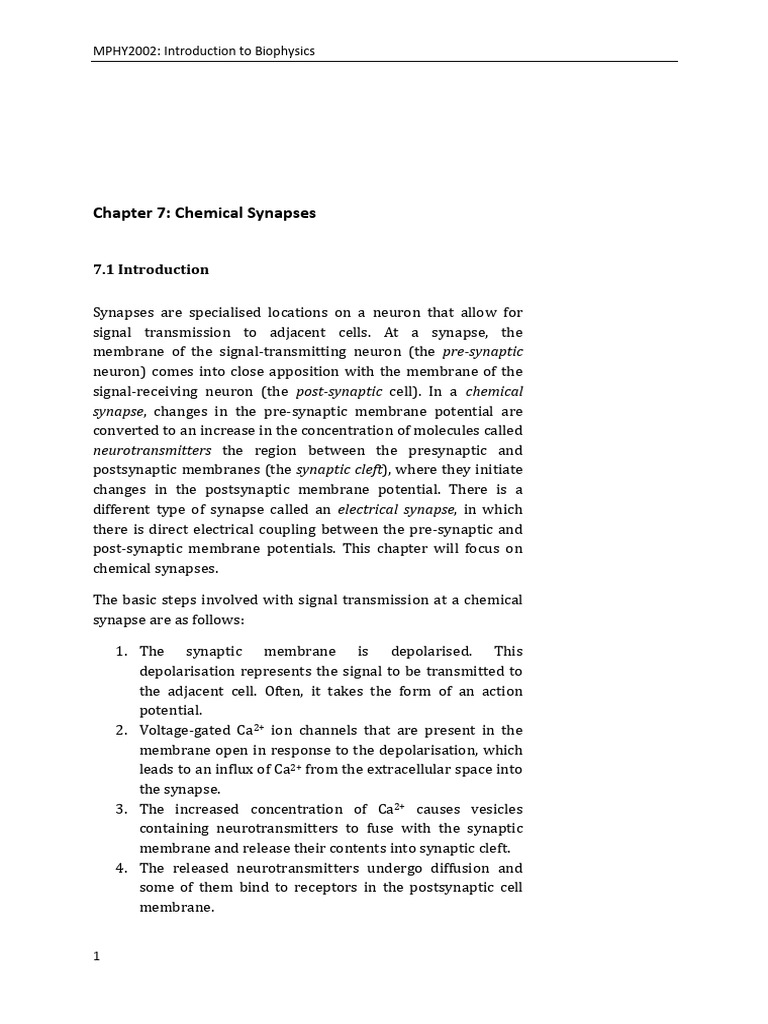 Chapter 7 - Synapses | PDF | Chemical Synapse | Neurotransmitter