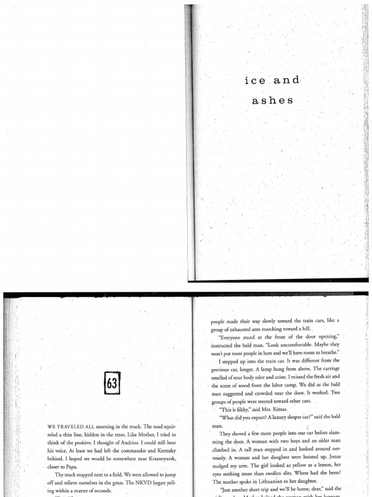 Between Shades of Gray PT 3 | PDF