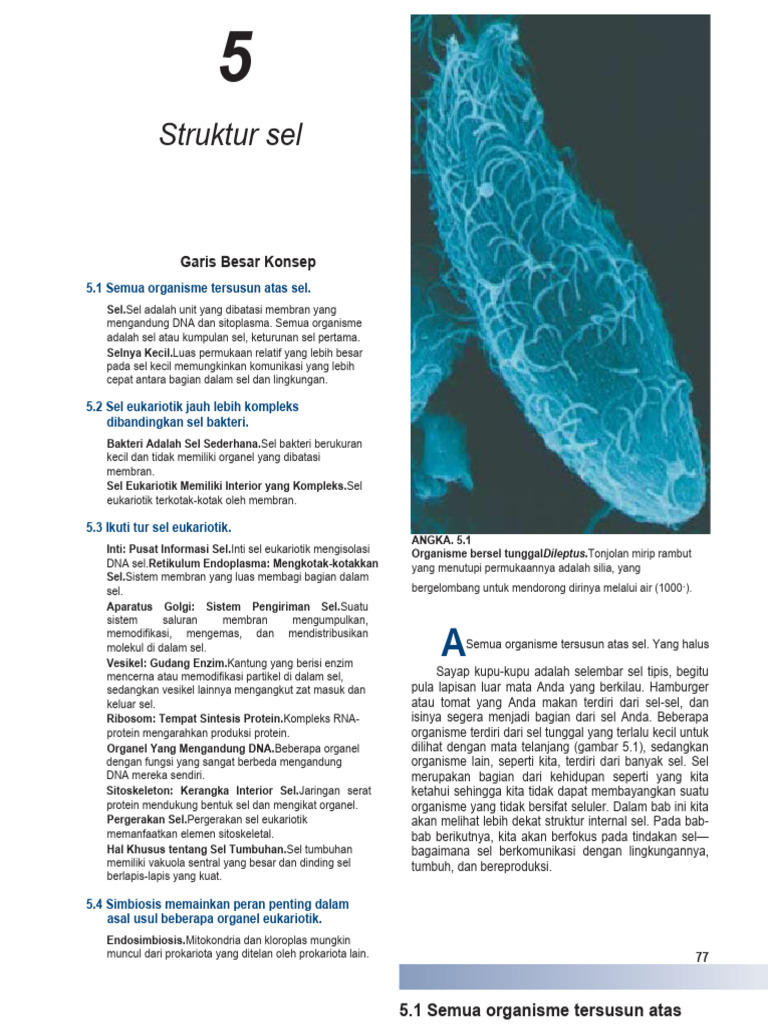 Salinan Terjemahan TASK 2 - STRUCTUR OF CELL | PDF