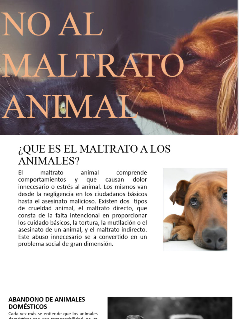 Maltrato Animal | PDF | Crueldad hacia los animales | Abuso infantil