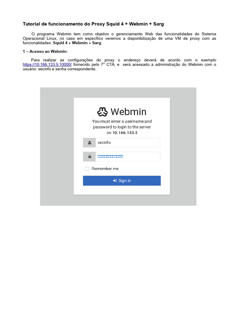Squid+Webmin +SARG para Usuário | PDF | Armazenamento de dados de computador | Internet
