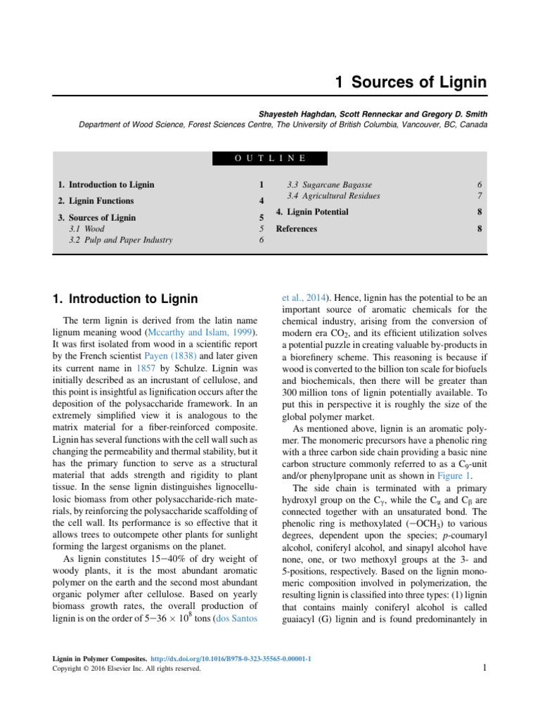 Lignin Pt1 | PDF | Lignin | Pulp (Paper)