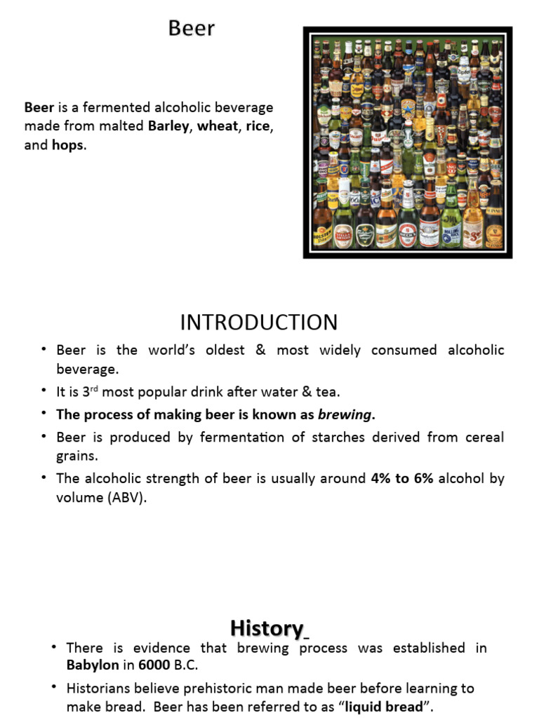 Understanding Beer: Brewing Basics | PDF | Beer | Brewing