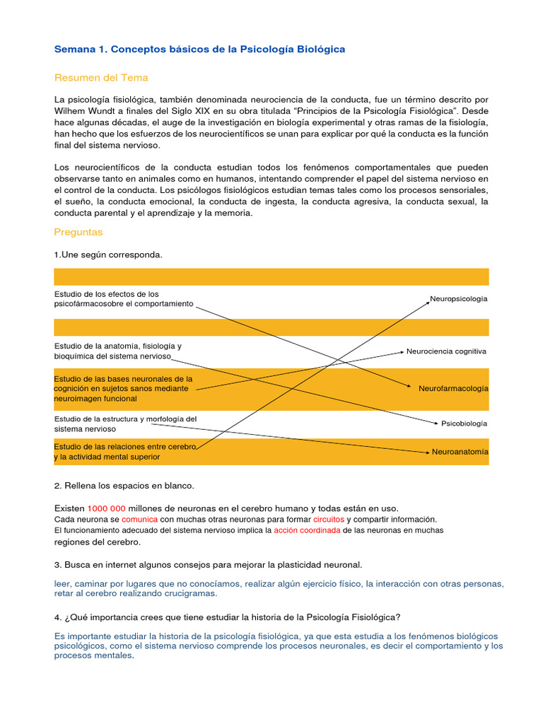 s02.s1 - Tarea Extensiva Individual Cua Del Cuadernillodernillo | PDF ... s02.s1 - Tarea Extensiva Individual Cua Del Cuadernillodernillo | PDF ...