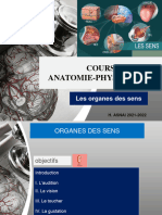 Notions de l'Œil : Anatomie et Modélisation | PDF | Œil humain | Optique
