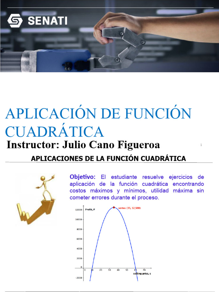 Aplicaciones de Función Cuadrática | PDF | Precios | Función (Matemáticas)