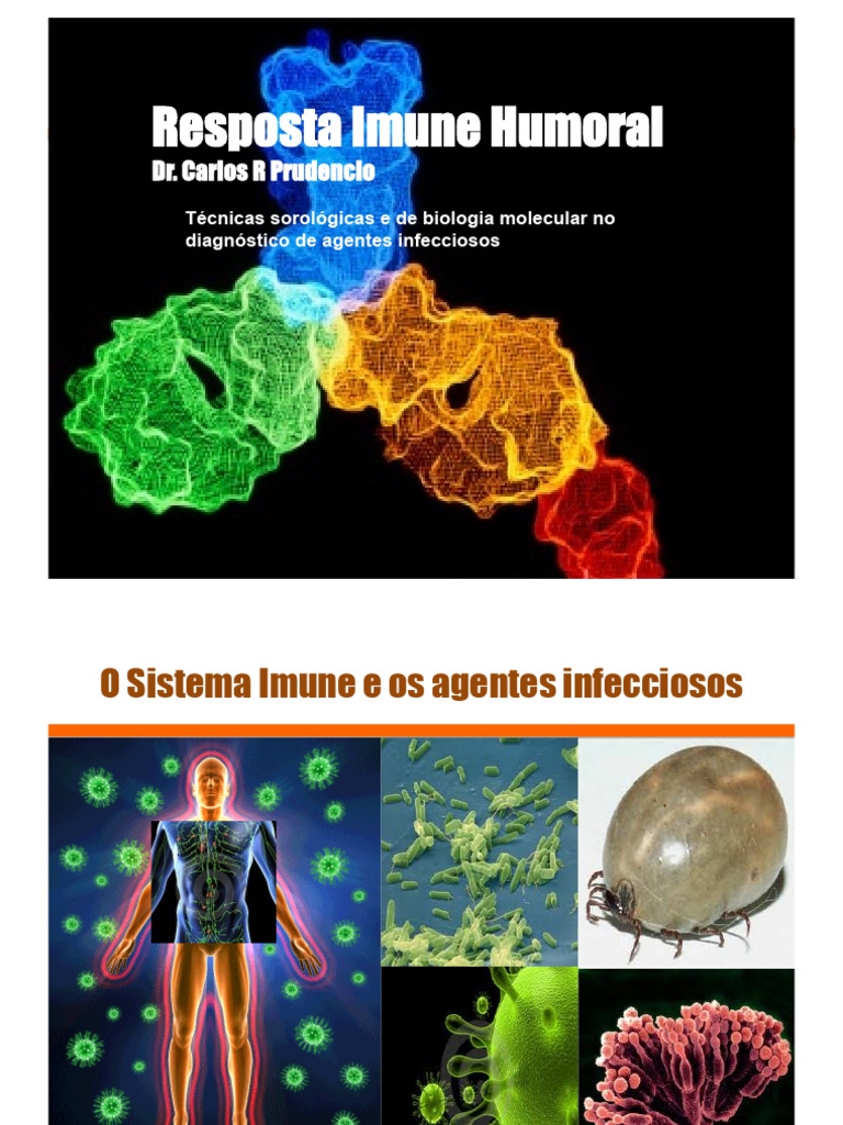 AULA Resposta Imune Humoral | PDF | Epitopo | Imunidade (Medicina)