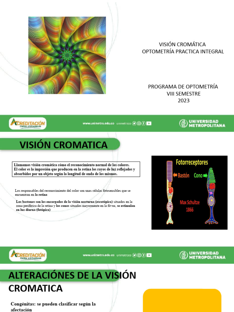 Vision Cromatica | PDF | Color | Percepción visual