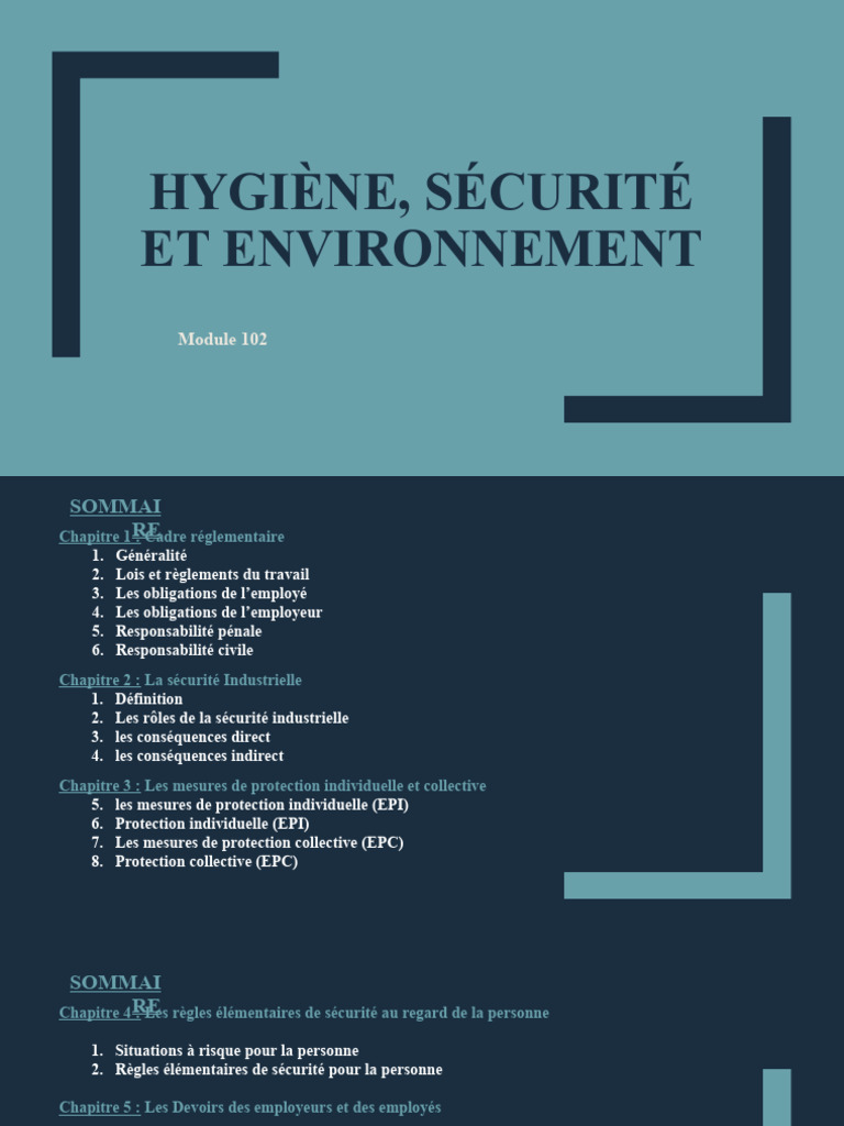 M102 Hygiéne, Sécurité Et Environnement F | PDF | Sécurité | Risque