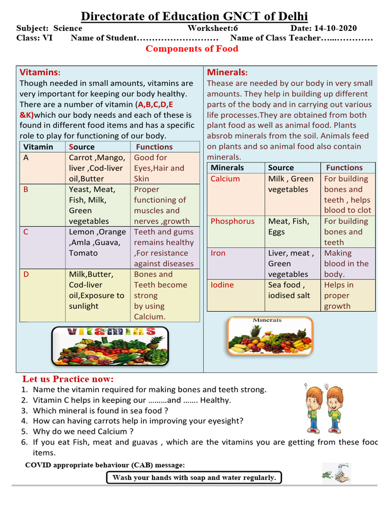 Worksheet 6 | PDF | Vitamin | Foods