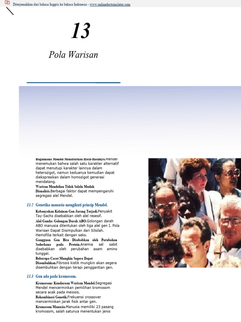 TASK 3 - HEREDITY (1) .En - Id | PDF