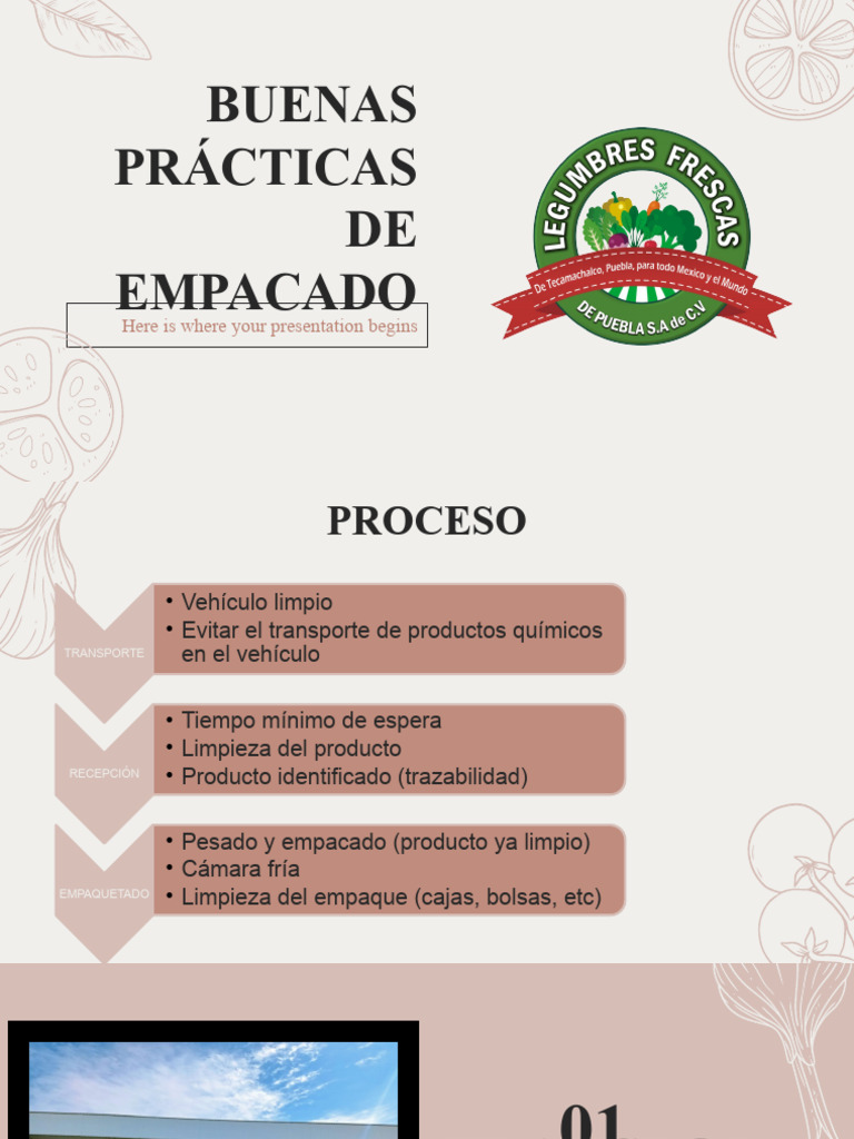 Buenas Prácticas de Empacado y Transporte | PDF
