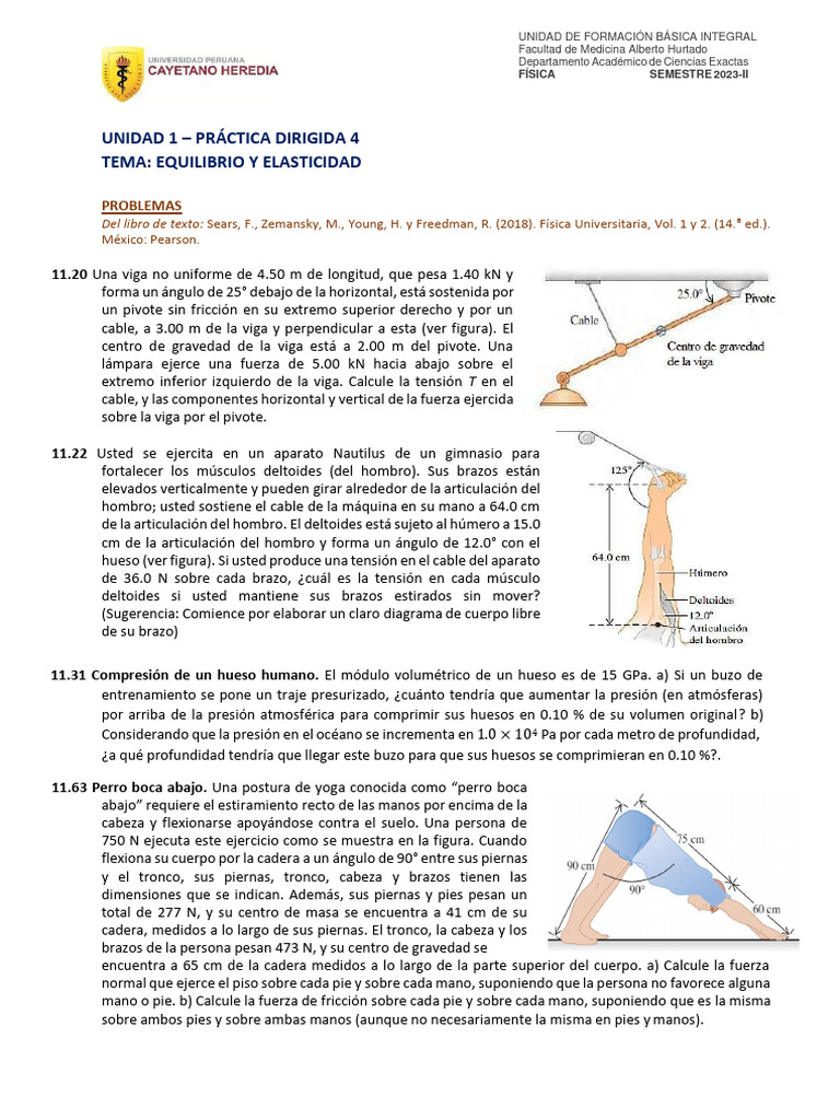 FISICA PC4 Condiciones de Equilibrio y Elasticidad 2023-II | PDF | Pie | Rodilla