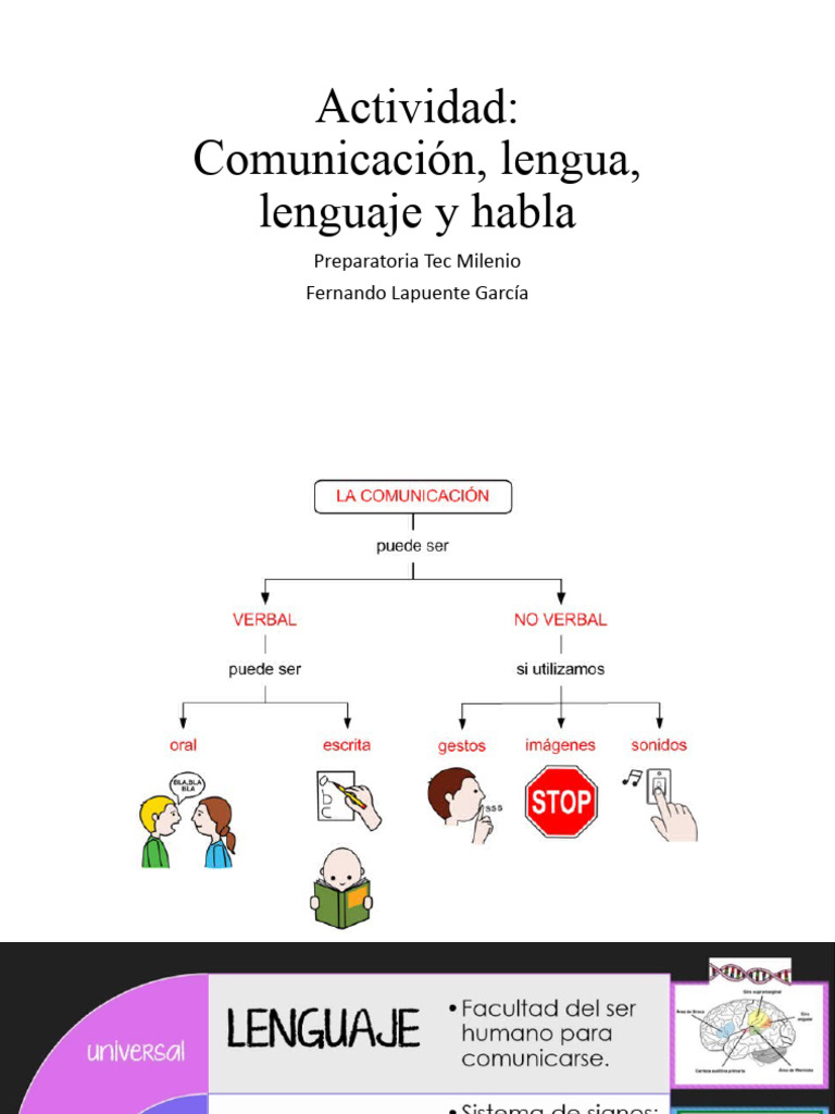 Actividad Lengua, Lenguaje y Habla | PDF