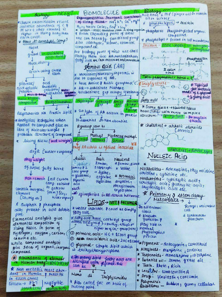 Biomolecules Short Notes | PDF